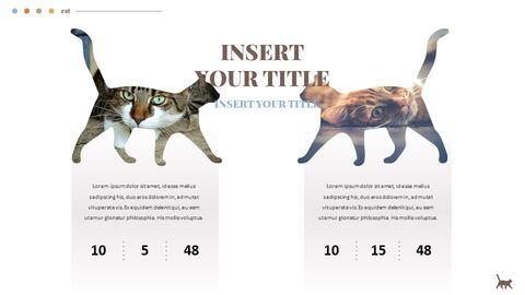 Cat Google Slides Templates for Your Next Presentation