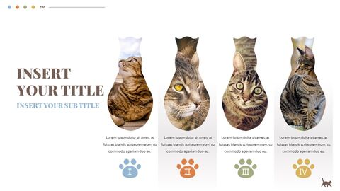 Cat Google Slides Templates for Your Next Presentation