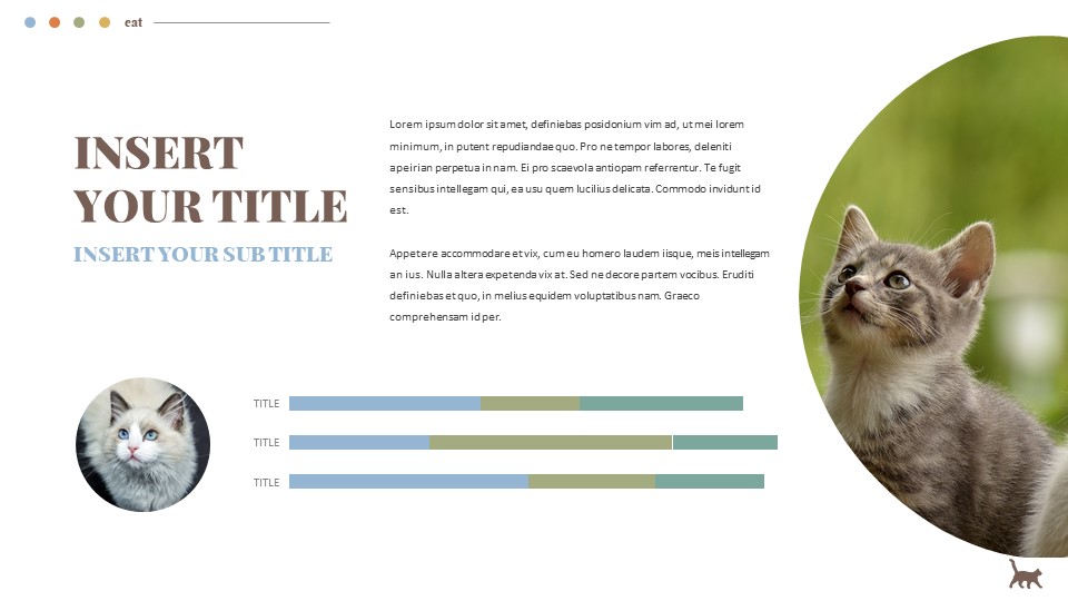 Cat Google Slides Templates for Your Next Presentation