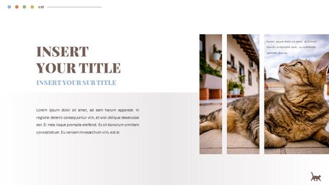 Cat Google Slides Templates for Your Next Presentation