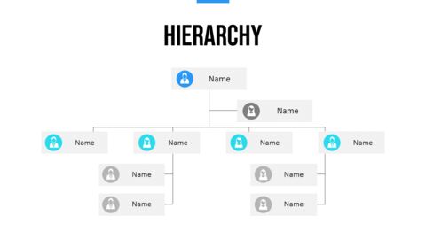 Organization Chart Hierarchy pitch deck design|Single Slides