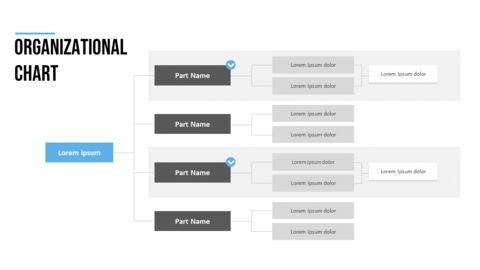 Simple Organizational Chart Hierarchy Page|Single Slides