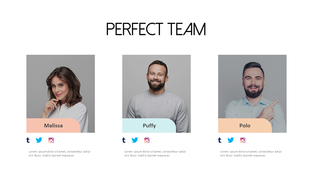 Sns With Perfect Team Template|Our|Single Slides