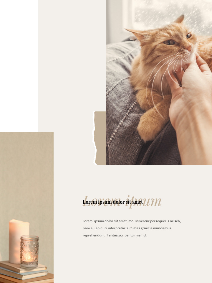 Cozy Winter Mood Vertical Layout PPT Design