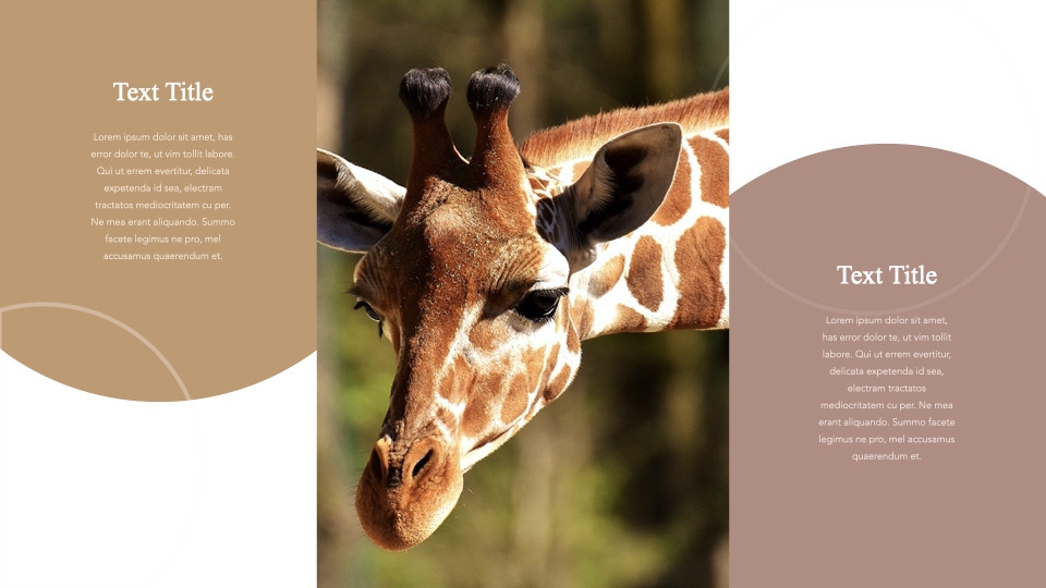 Safari Animals Keynote PowerPoint|Lifestyle