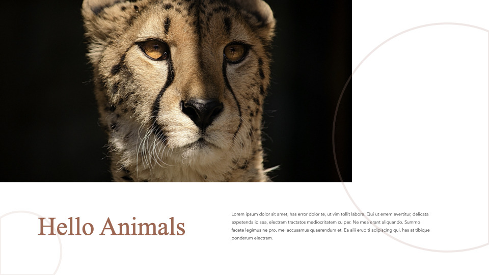 Safari Animals Keynote PowerPoint|Lifestyle