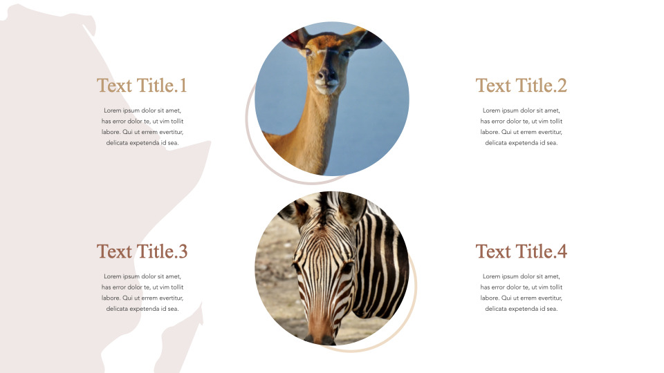 Safari Animals Keynote PowerPoint|Lifestyle
