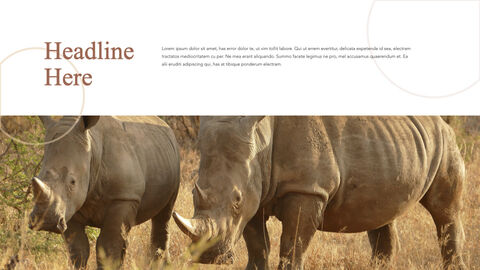 Safari Animals Keynote PowerPoint|Lifestyle