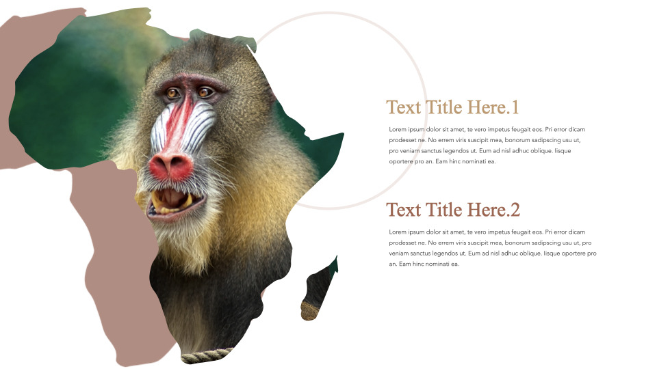 Safari Animals Keynote PowerPoint|Lifestyle