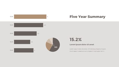 Five Year Summary Page Slide|Financials|Single