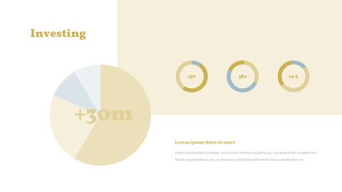 Investing Page Design|Financials|Single Slides
