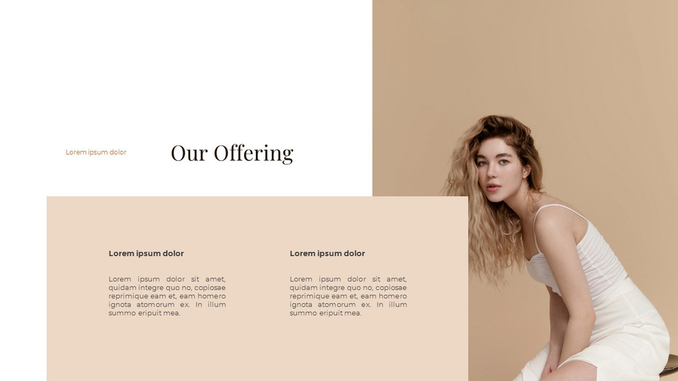 Our Offering Template Page|Proposal|Single Slides