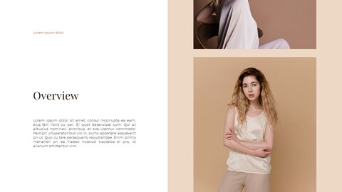 Overview Template Design|Single Slides