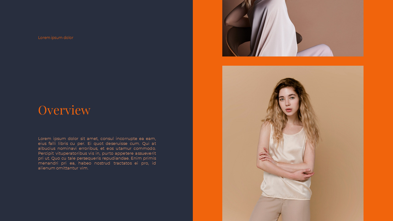 Overview Template Design|Single Slides