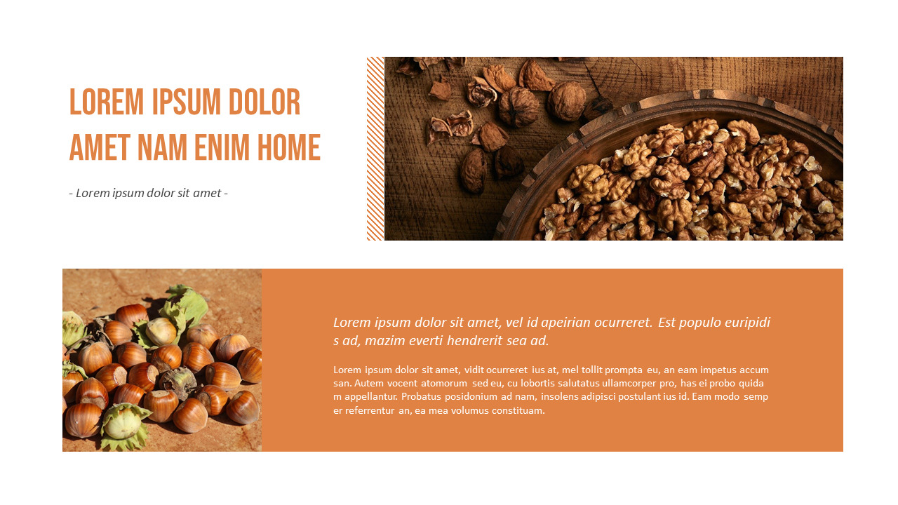 Best Nuts PPT Background|Business|Templates