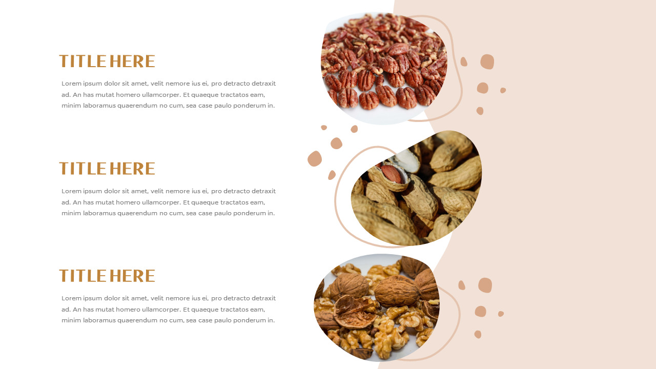 Various of Nuts PPT Slides|Business|Templates
