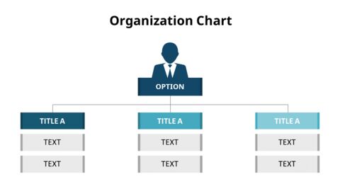 Icon Organization Chart Animated Slides|Hierarchy|Diagram