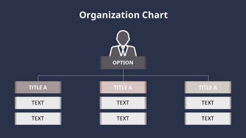Icon Organization Chart Animated Slides|Hierarchy|Diagram