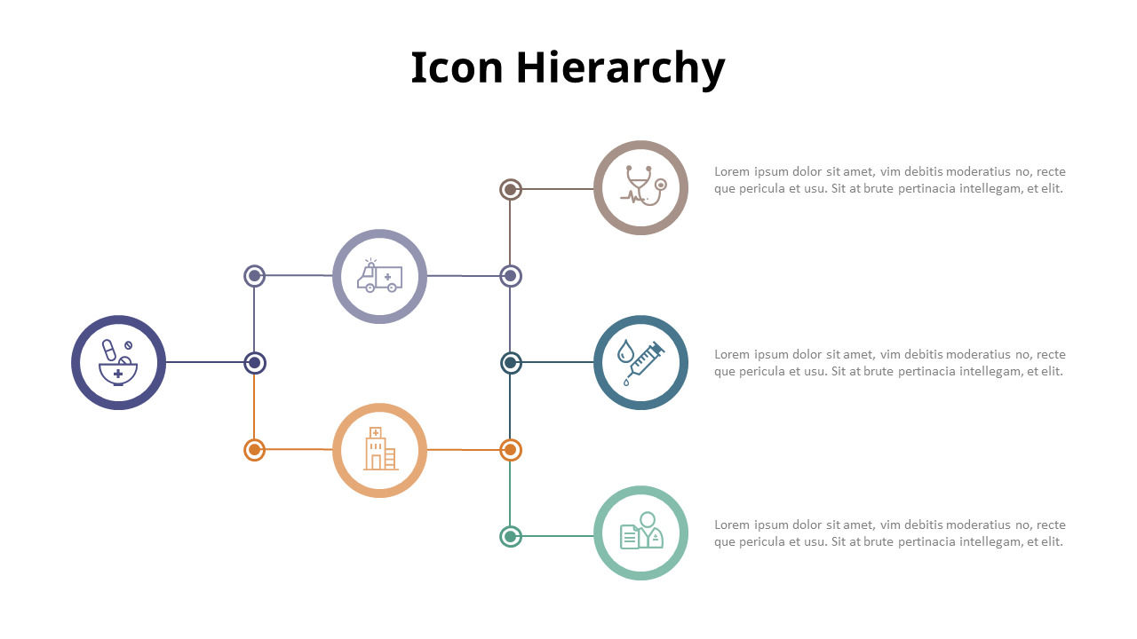 Organizational Chart Animation Presentation|Hierarchy|Diagram