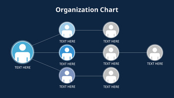 Organizational Chart Animation Presentation|Hierarchy|Diagram