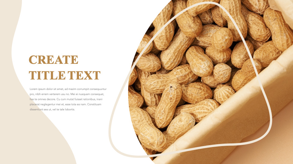 Various of Nuts keynote template|Business