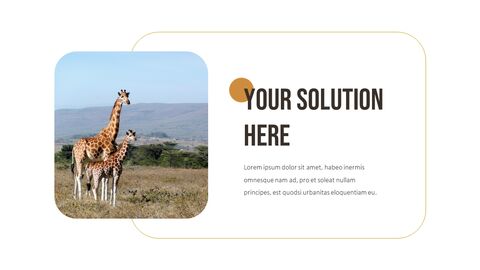 Giraffe powerpoint themes|Lifestyle|Templates