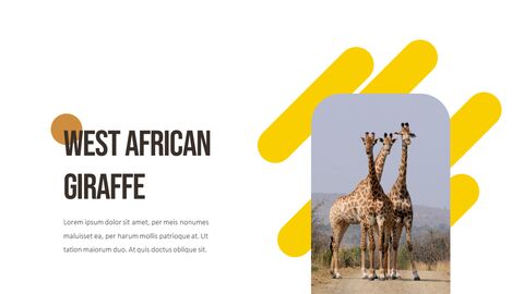 Giraffe powerpoint themes|Lifestyle|Templates