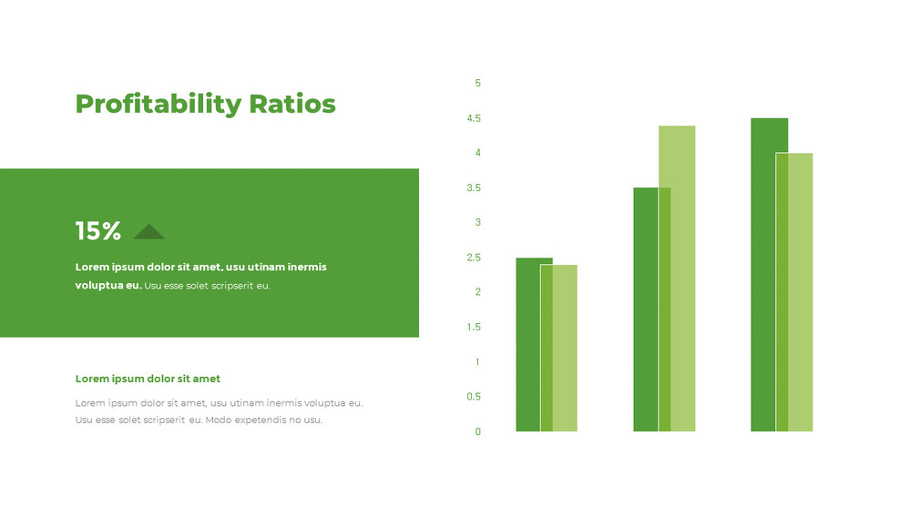 Profitability Ratios Slide Layout|Loss|Single