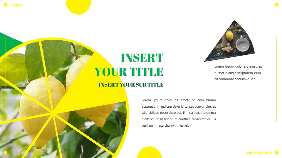 Lemon Presentation Google Slides Templates