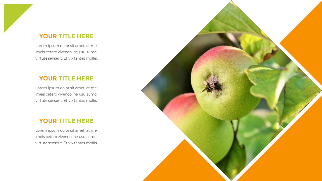 Fresh Fruits Presentations PPT|Business|Templates