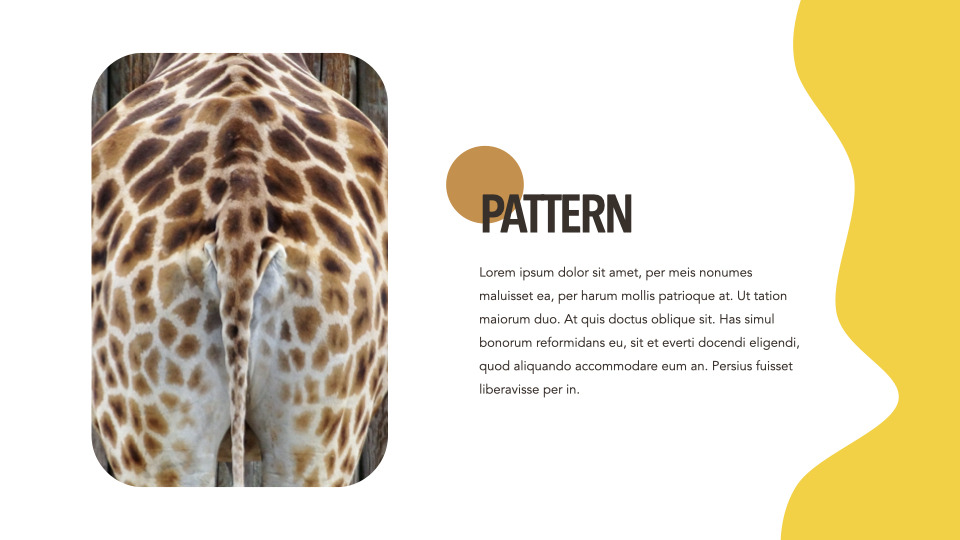 Giraffe team presentation template|Lifestyle|Keynote