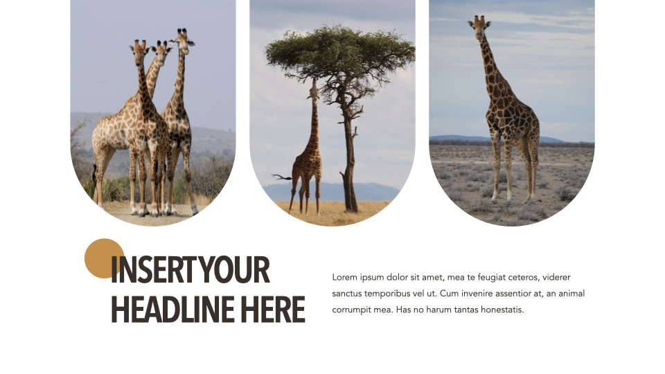 Giraffe team presentation template|Lifestyle|Keynote