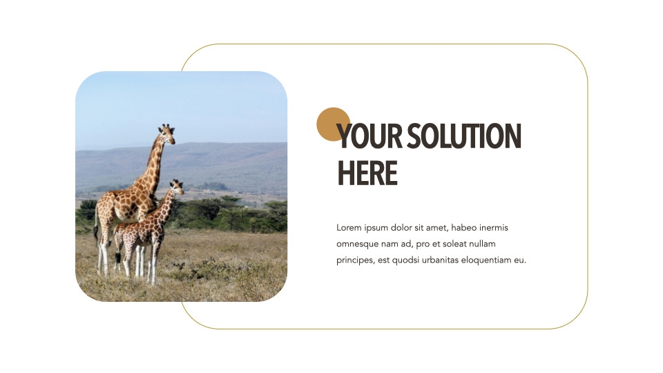 Giraffe team presentation template|Lifestyle|Keynote
