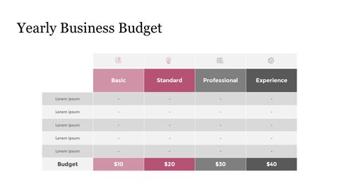 Yearly Business Budget Slide Deck|Financials|Single
