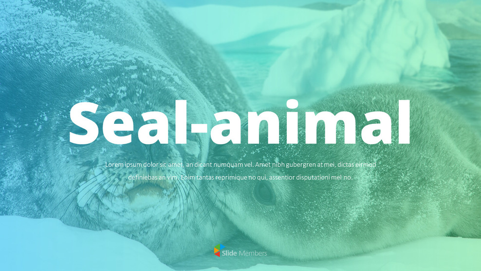 Seal Outline PPT Presentation|Lifestyle|Templates