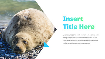 Seal Outline PPT Presentation|Lifestyle|Templates