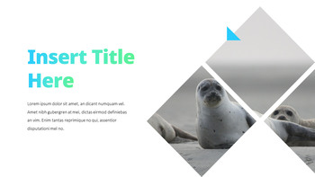 Seal Outline PPT Presentation|Lifestyle|Templates
