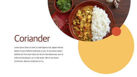 Curry PowerPoint for mac|Business|Keynote