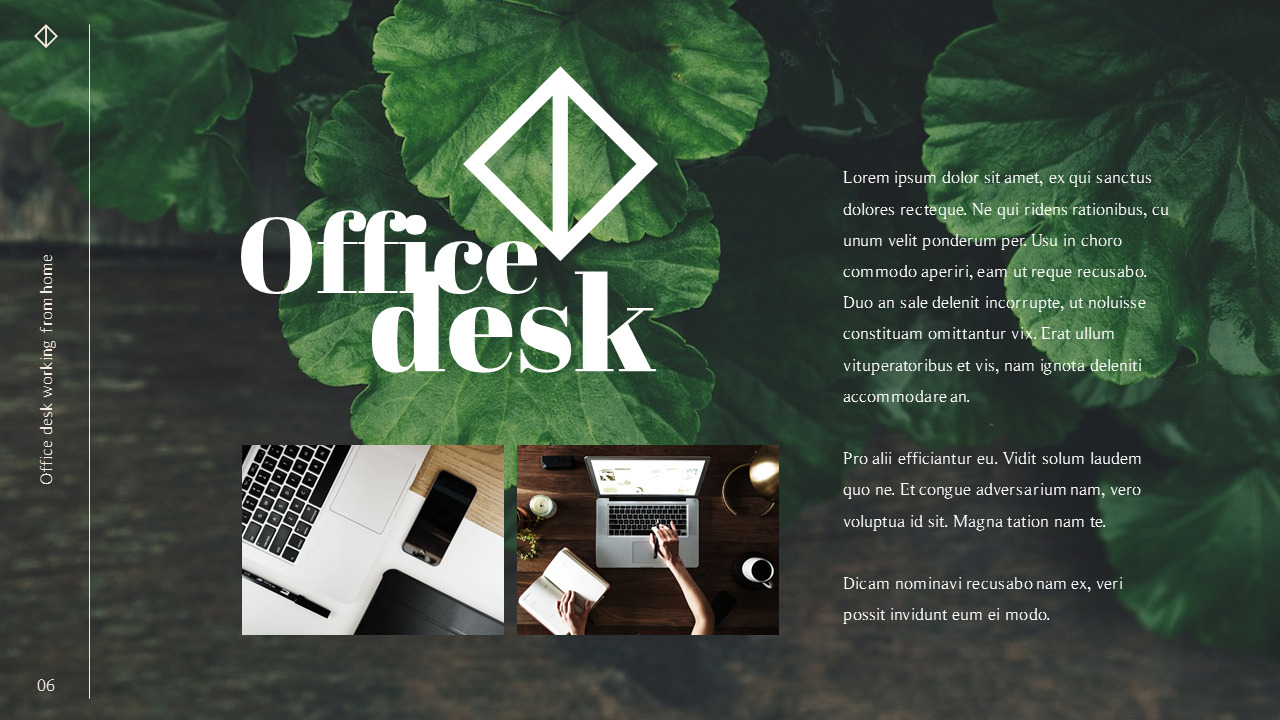 Office Desk Professional PPT