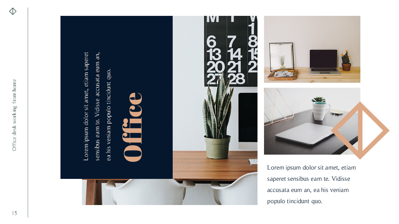 Office Desk Professional PPT