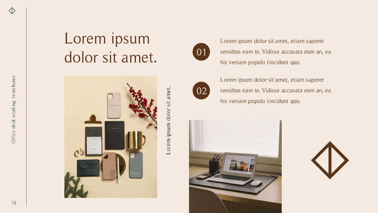 Office Desk Professional PPT