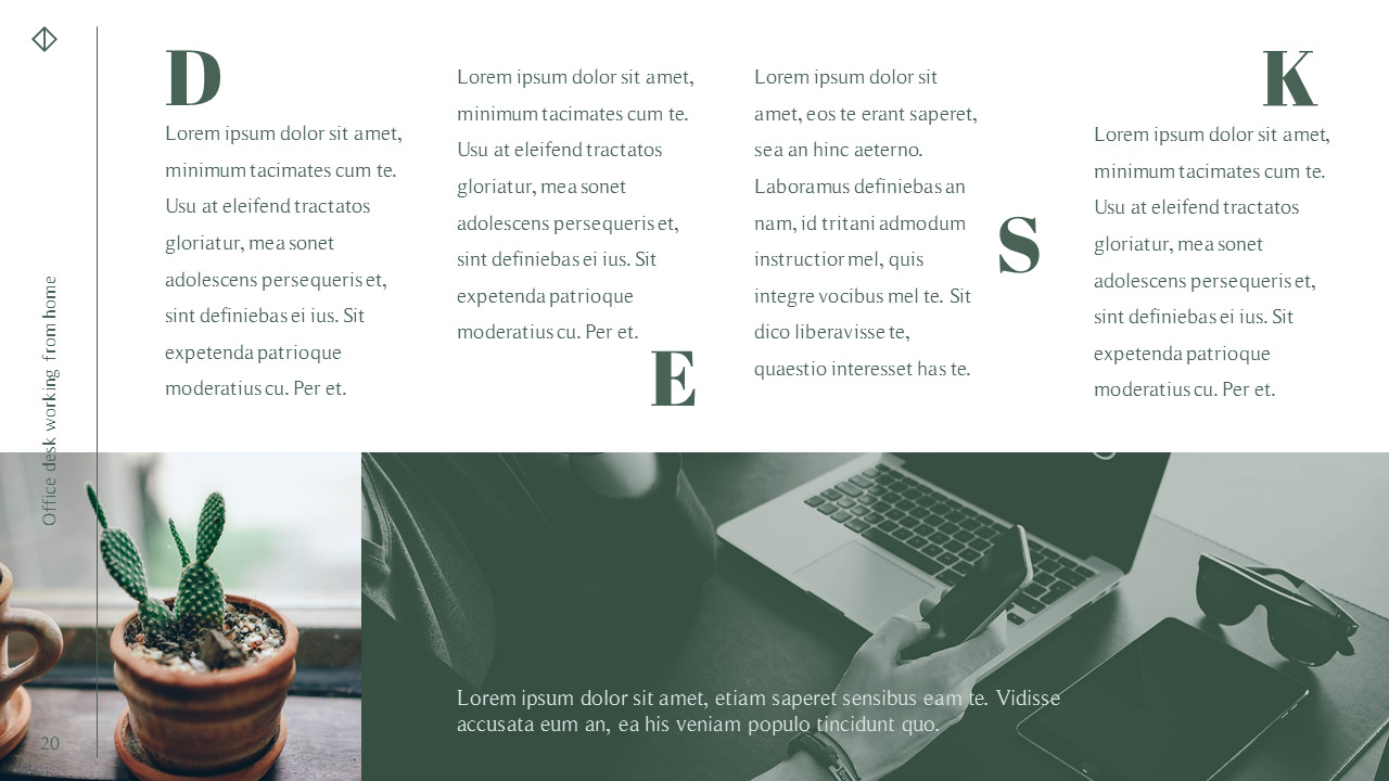 Office Desk Professional PPT