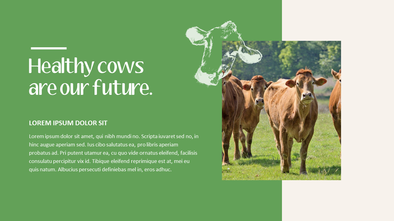 Vaca Diapositiva PPT|Estilo de vida|Plantillas