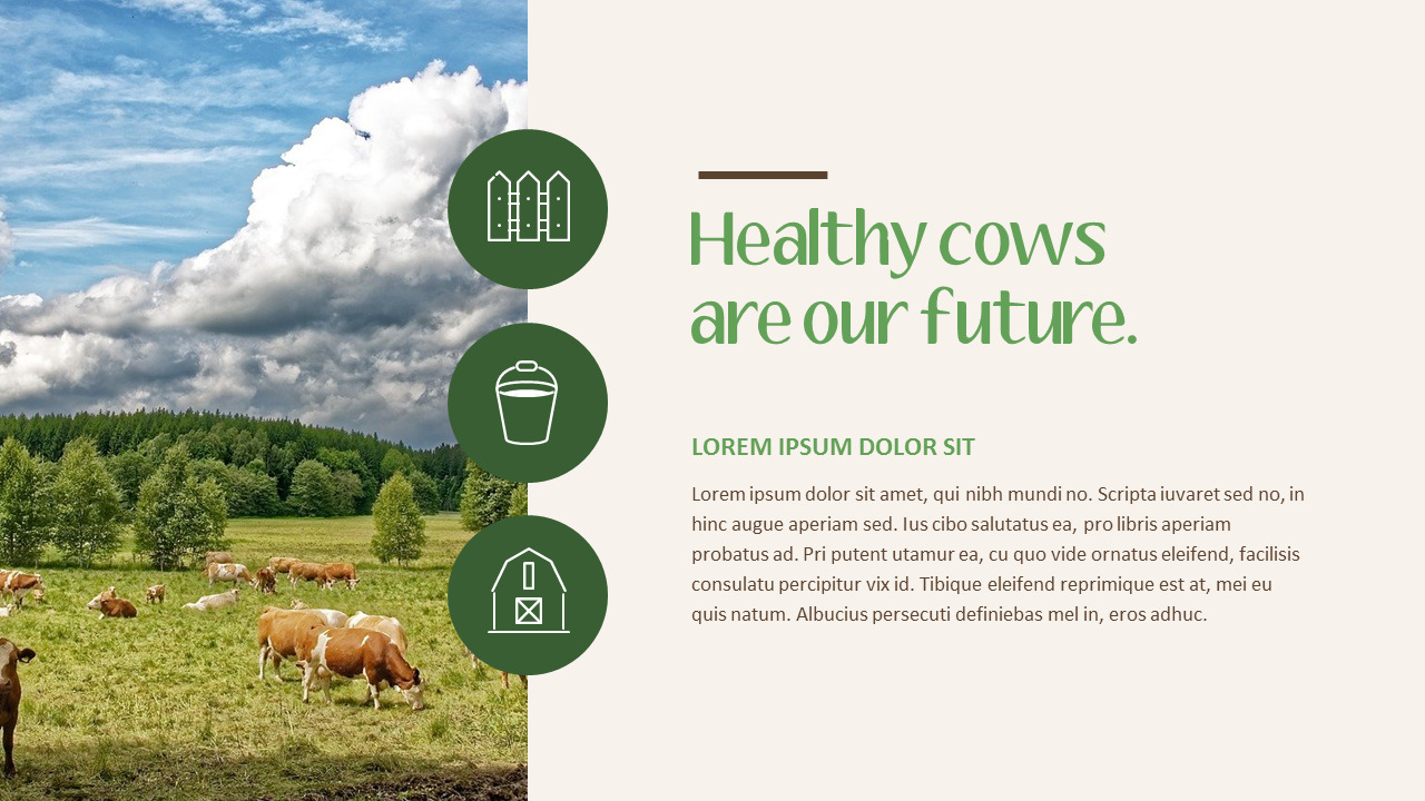 Cow Slide PPT|Lifestyle|Templates