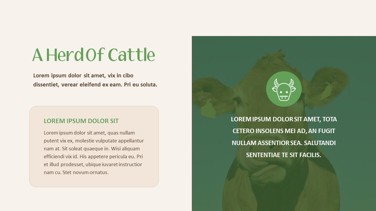 Cow Slide PPT|Lifestyle|Templates