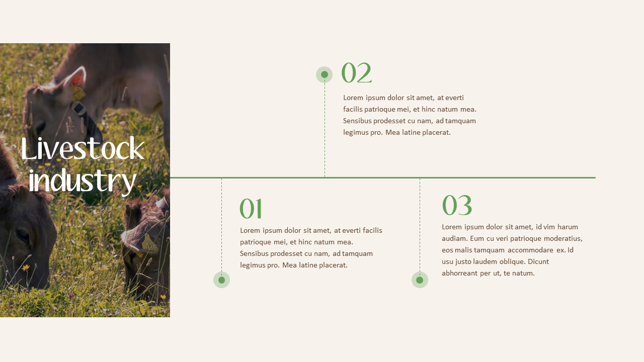 Cow Slide PPT|Lifestyle|Templates