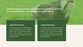 Cow Slide PPT|Lifestyle|Templates