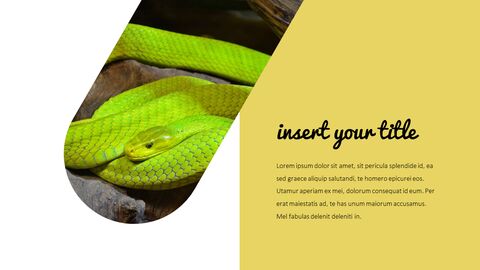 Snake Presentation PowerPoint|Lifestyle|Templates