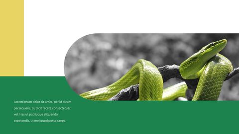 Snake Presentation PowerPoint|Lifestyle|Templates