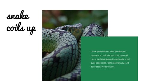 Snake Presentation PowerPoint|Lifestyle|Templates